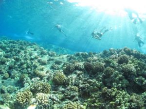 Snorkeling Adventure to Molokini – Pender & Peony