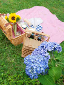 The Perfect Summer Picnic for Two - Pender & Peony - A Southern Blog