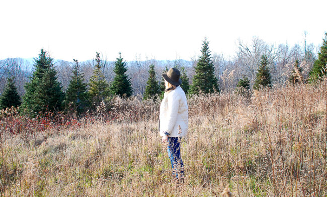 My Favorite Rambling Hikes in the Blue Ridge - Pender & Peony - A ...