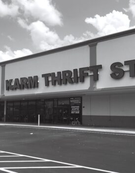 My Favorite Thrift Stores in East Tennessee – Pender & Peony