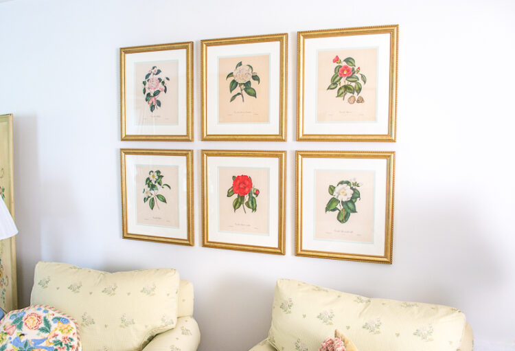 A Botanical Gallery Wall in the Living Room - Pender & Peony - A ...