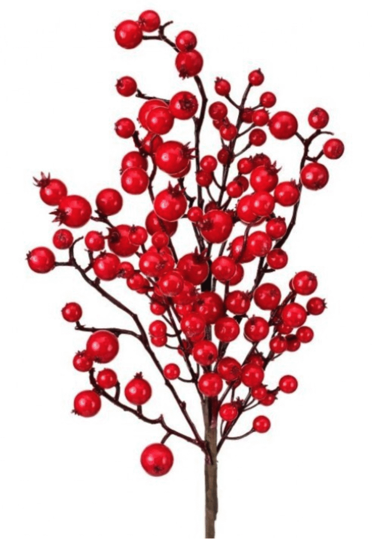 24″ Mixed Red Berry – Pender & Peony